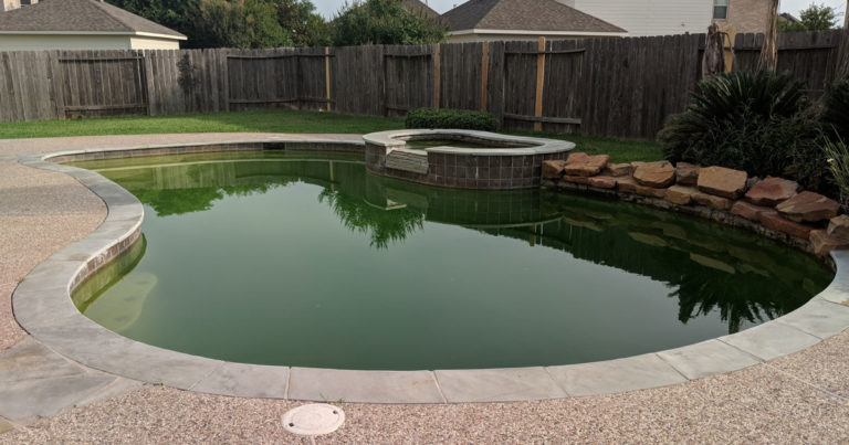 Why is My Pool Green? - Shimmering Waters Pools